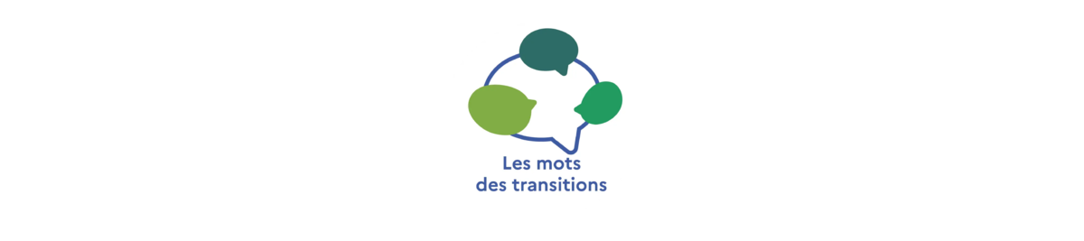 Les Mots des transitions | Innovons pour les transformations