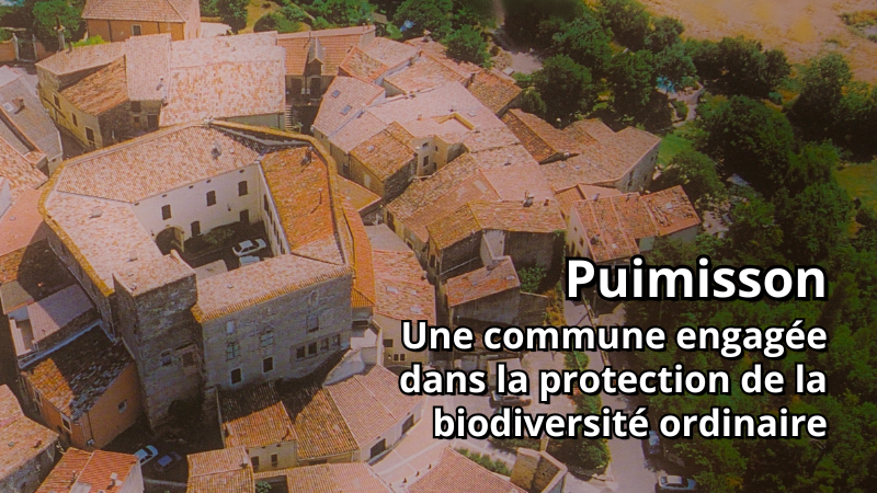 Puimisson, une commune engagée dans la protection de la biodiversité ...
