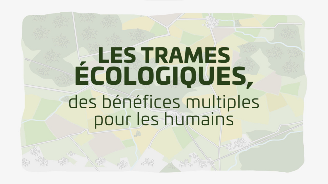 Les Trames écologiques : des bénéfices multiples pour les humains ...